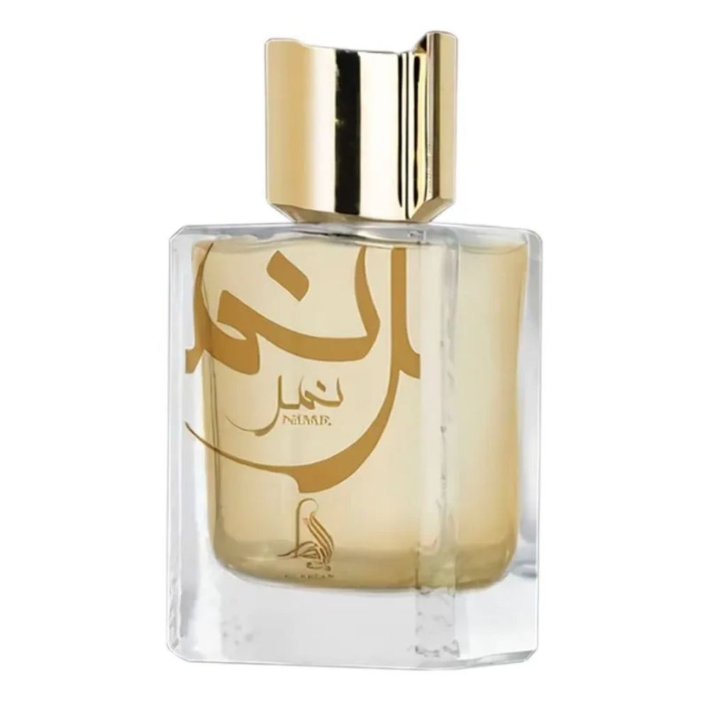 Montiel Perfumaria| Nimr Al Absar Eau de Parfum Masculino